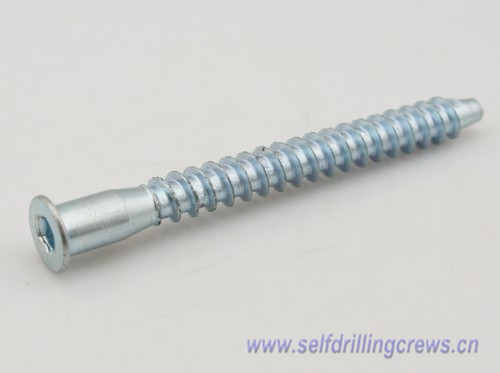 Hex Socket Head Self Tapping Screws, confirmat screws Manufacturer ...