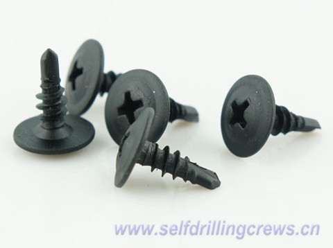 Modified truss head self tapping screws and tek Point self drilling screws