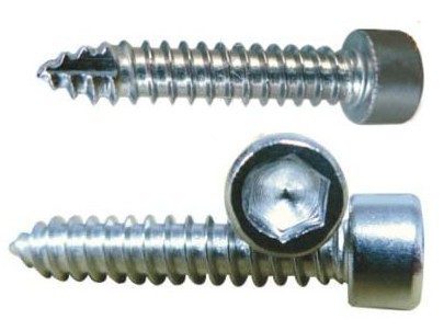 Hex Socket Head Self Tapping Screws, confirmat screws Manufacturer ...